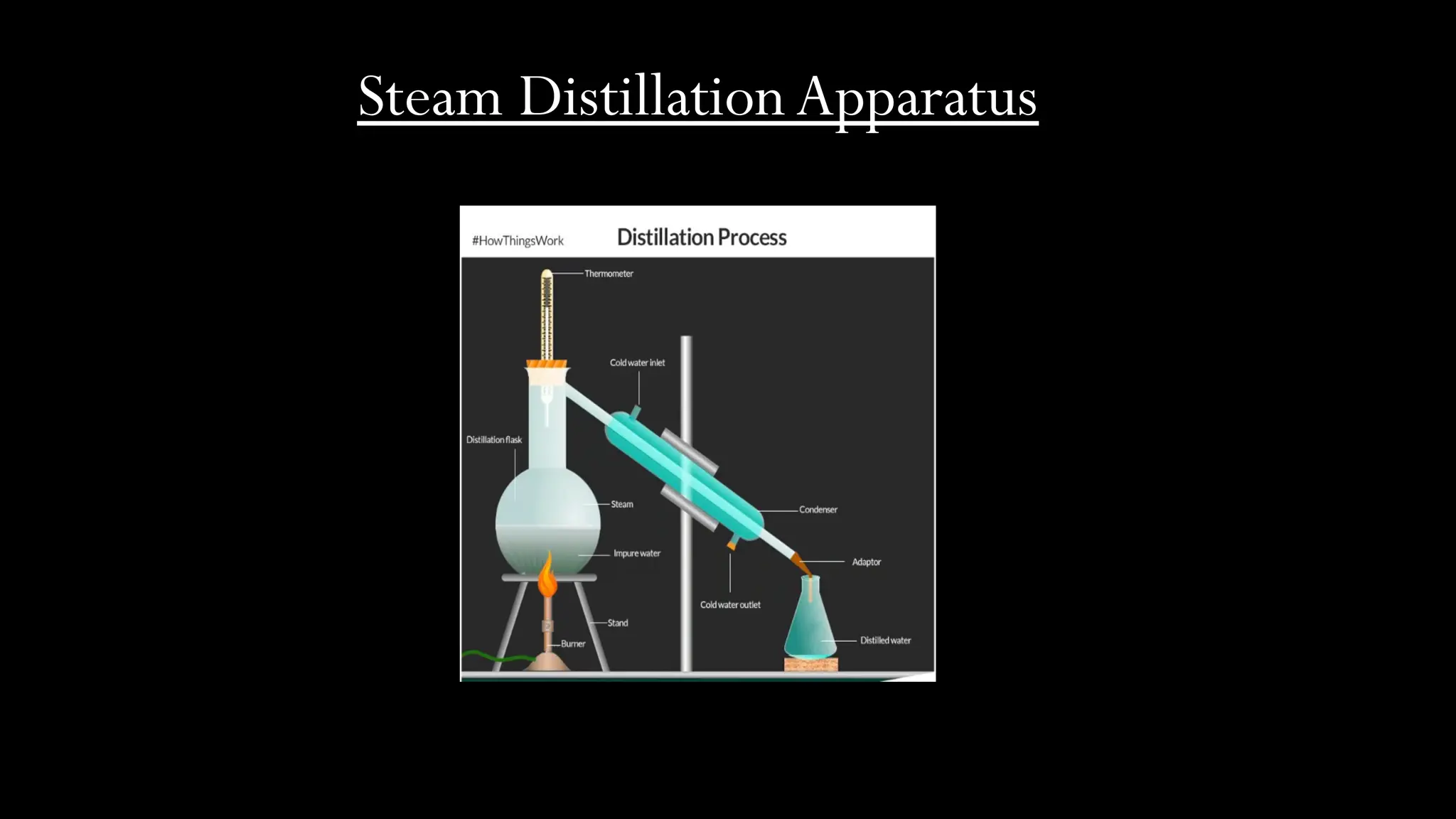Applications of steam in Biotechnology.pptx