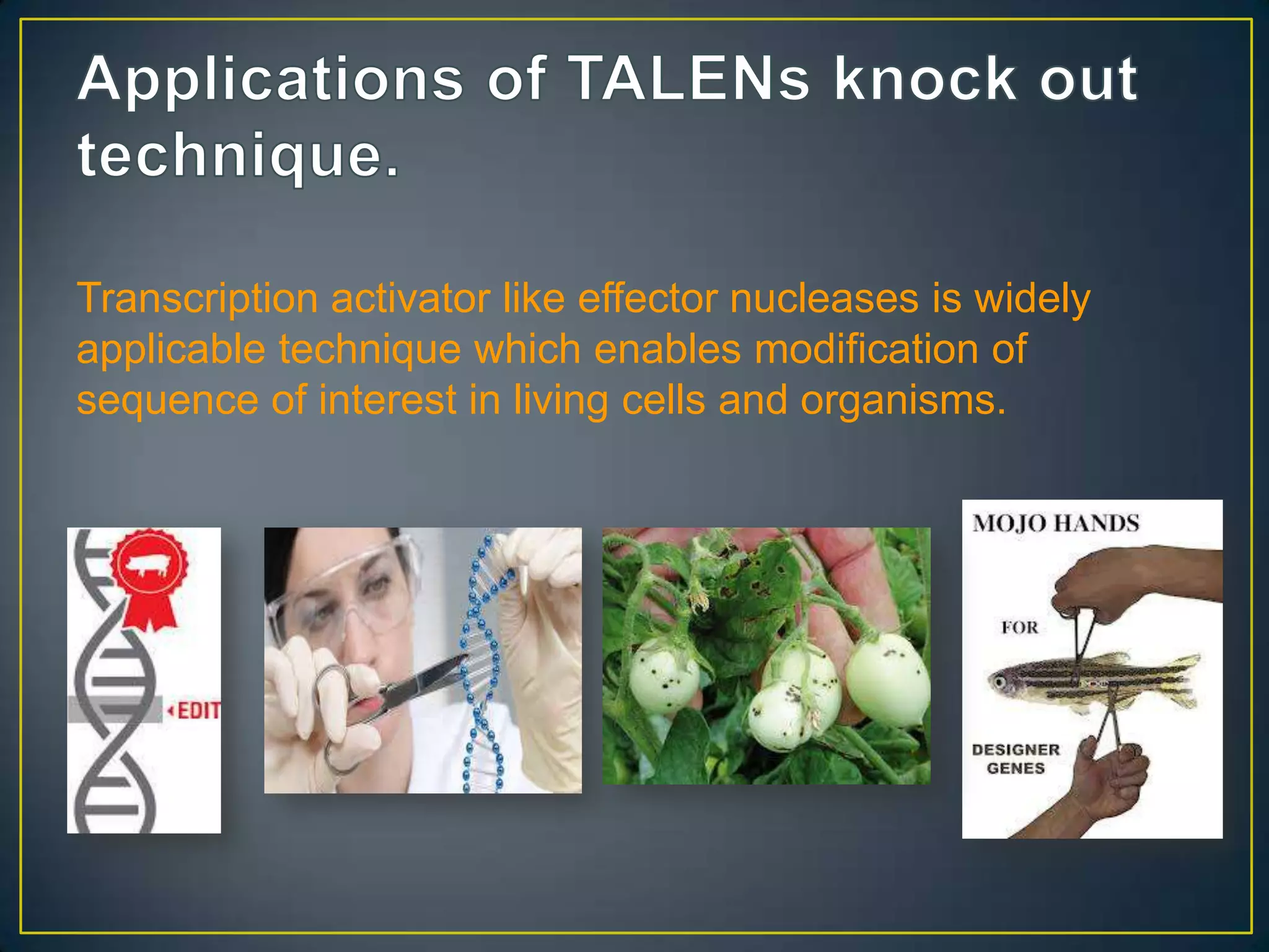 Applications of talens | PPT