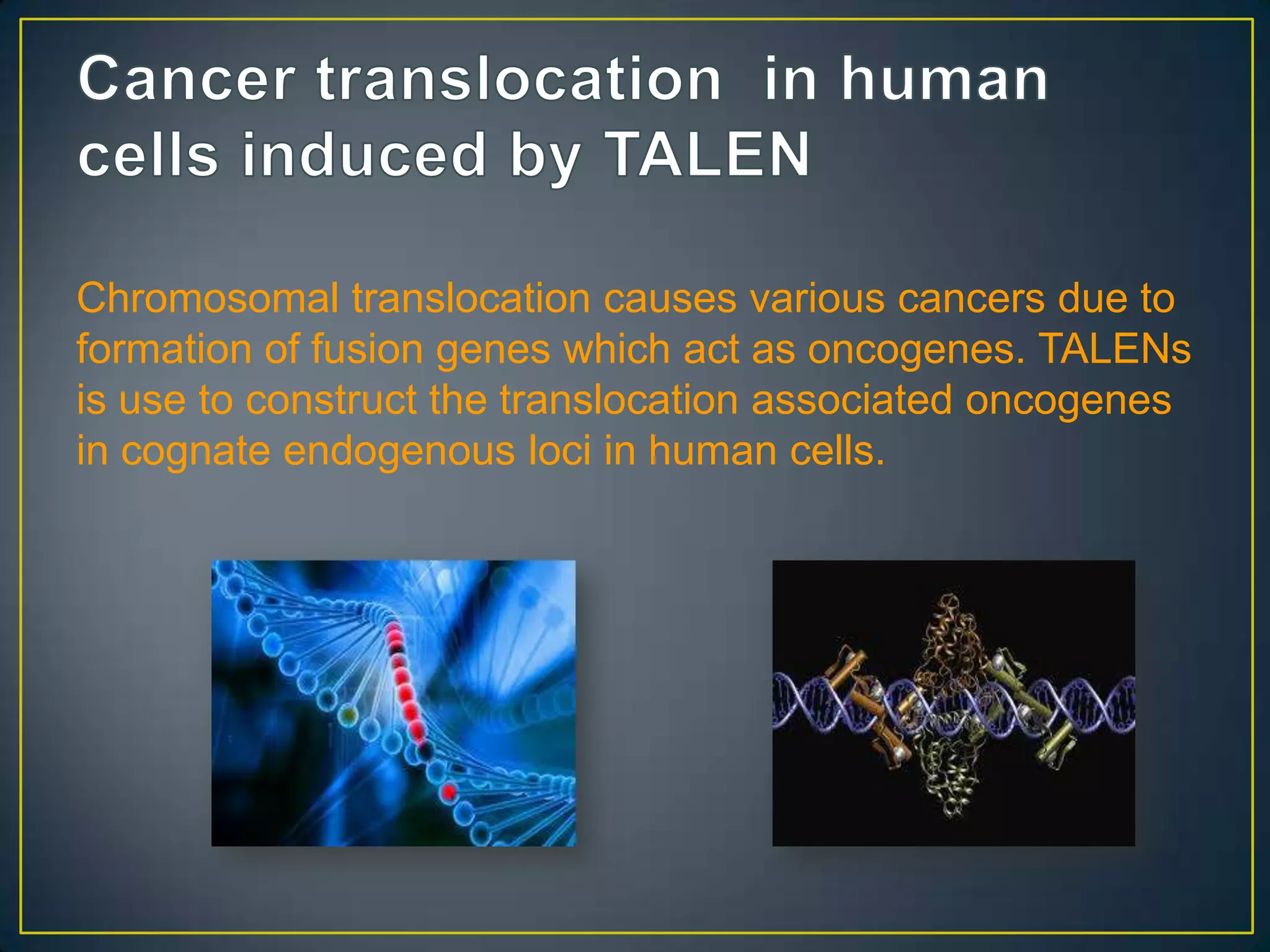 Applications of talens | PPT