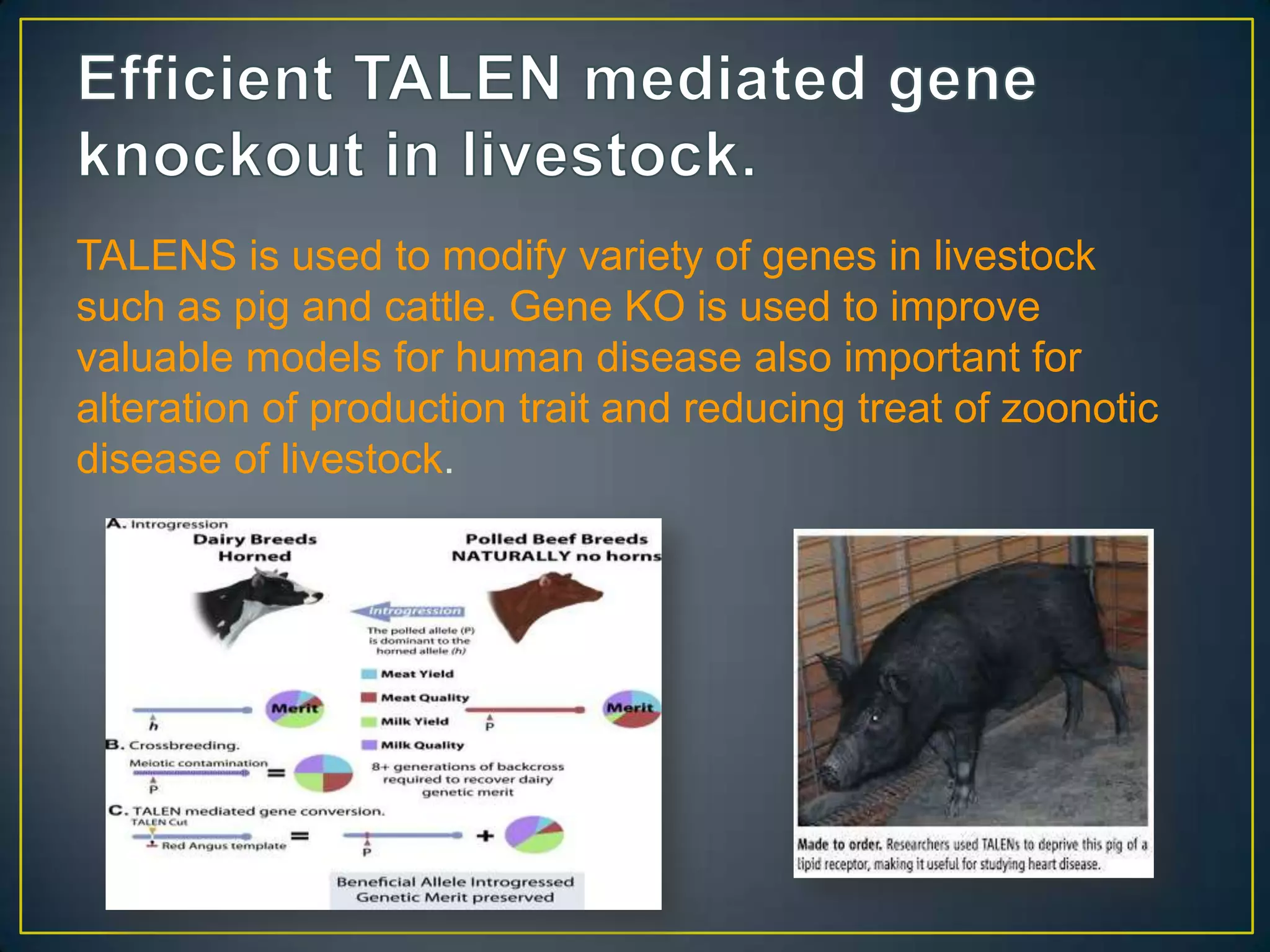 Applications of talens | PPT