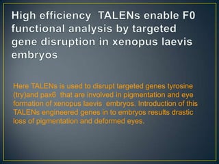 Applications of talens | PPT