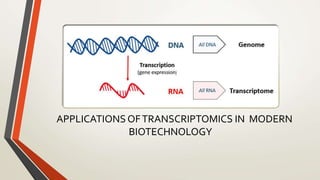 Applications of transcriptomice s in modern biotechnology 2 | PPTX