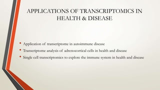 Applications of transcriptomice s in modern biotechnology 2 | PPTX