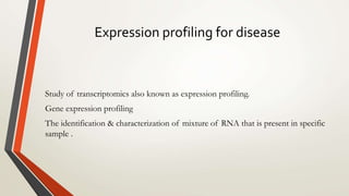 Applications of transcriptomice s in modern biotechnology 2 | PPTX
