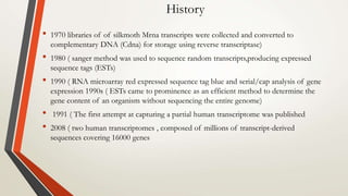 Applications of transcriptomice s in modern biotechnology 2 | PPTX