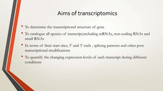 Applications of transcriptomice s in modern biotechnology 2 | PPTX
