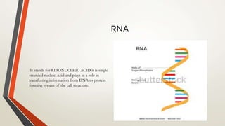 Applications of transcriptomice s in modern biotechnology 2 | PPTX
