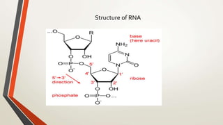 Applications of transcriptomice s in modern biotechnology 2 | PPTX