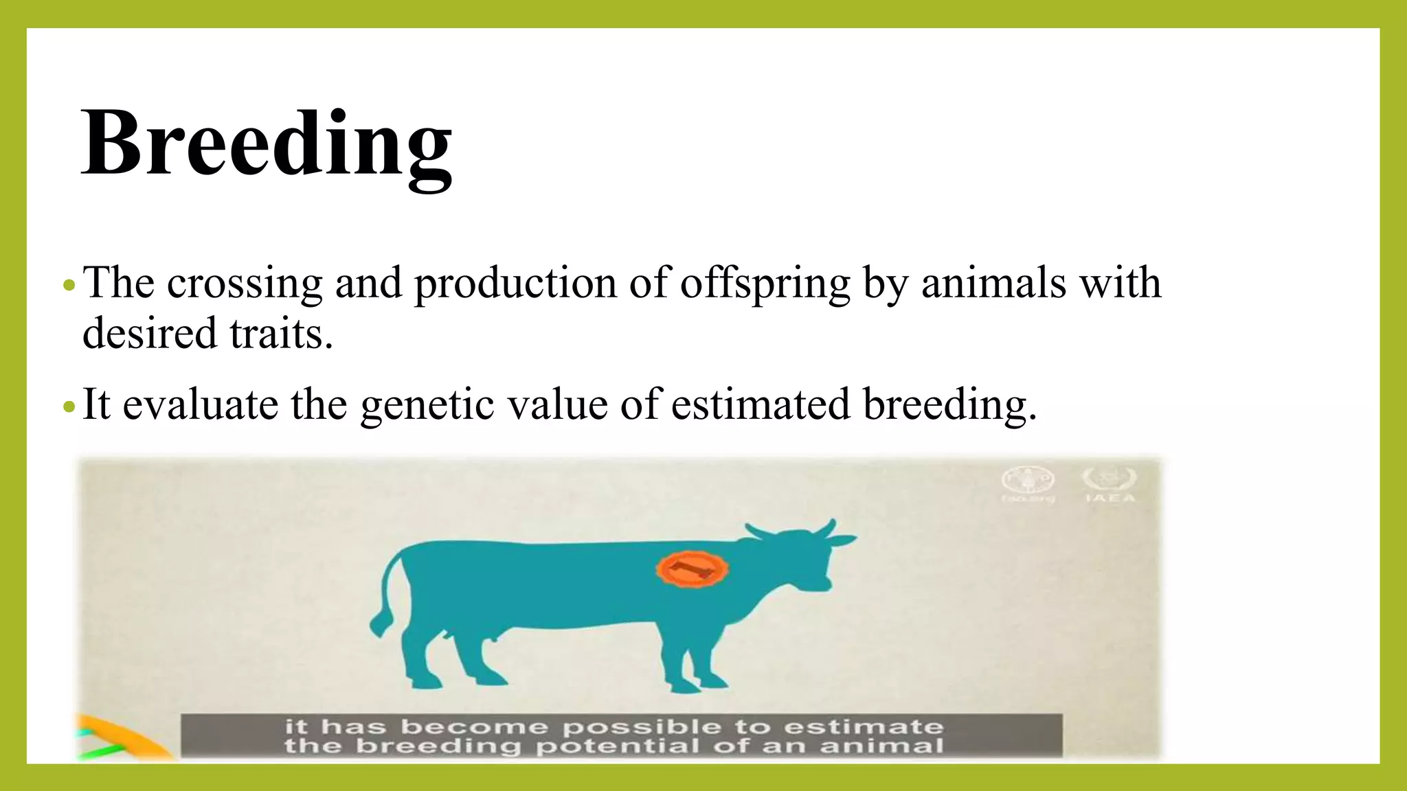 Applications of transgenic animals (pharming, farm.pptx