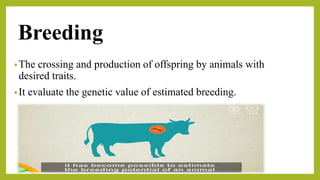 Applications of transgenic animals (pharming, farm.pptx