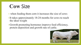 Applications of transgenic animals (pharming, farm.pptx