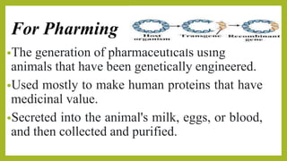 Applications of transgenic animals (pharming, farm.pptx