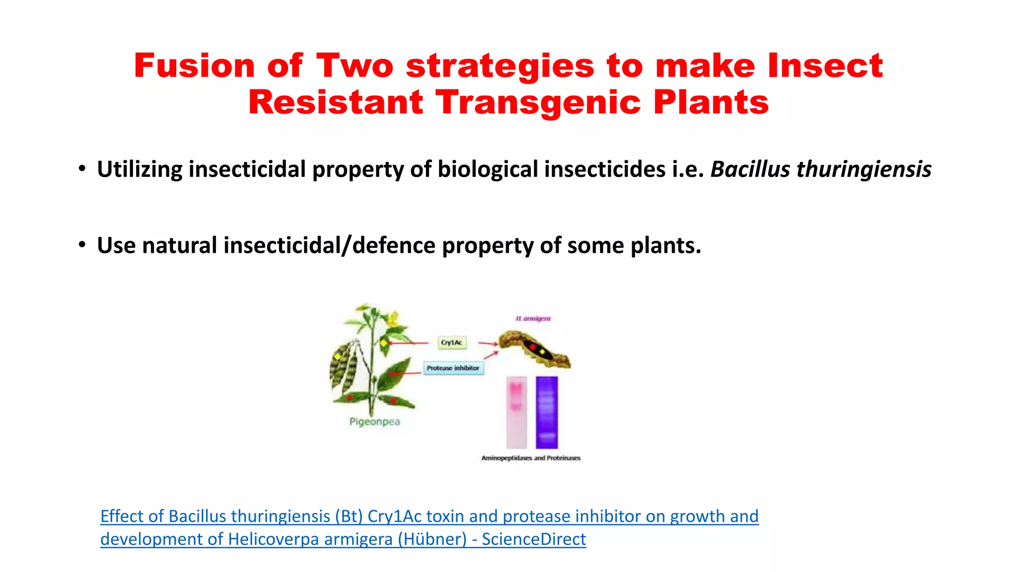Applications of transgenic plants_II.pptx