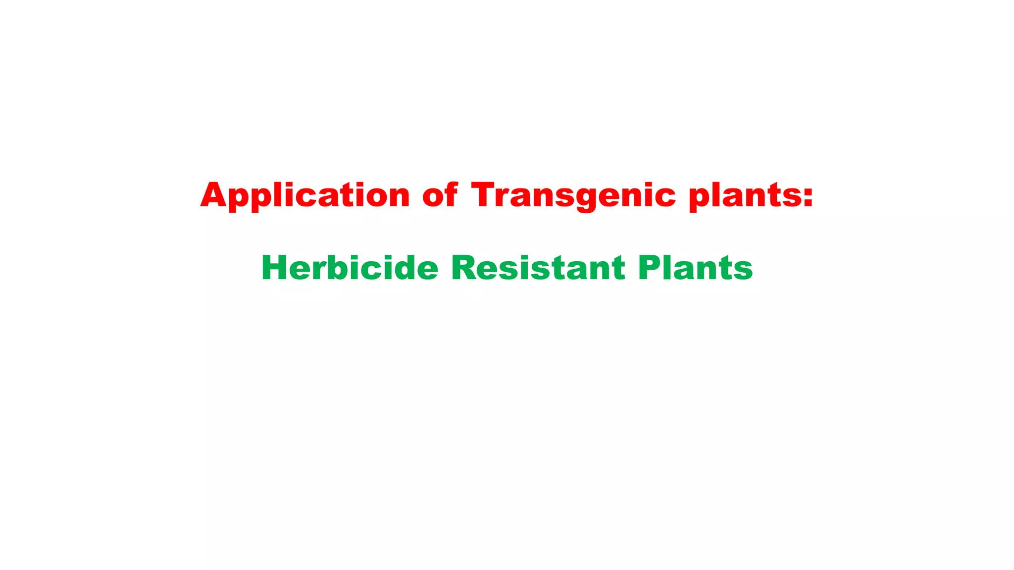 Applications of transgenic plants_II.pptx