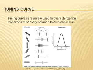Applications of tuning curves 2 | PPTX