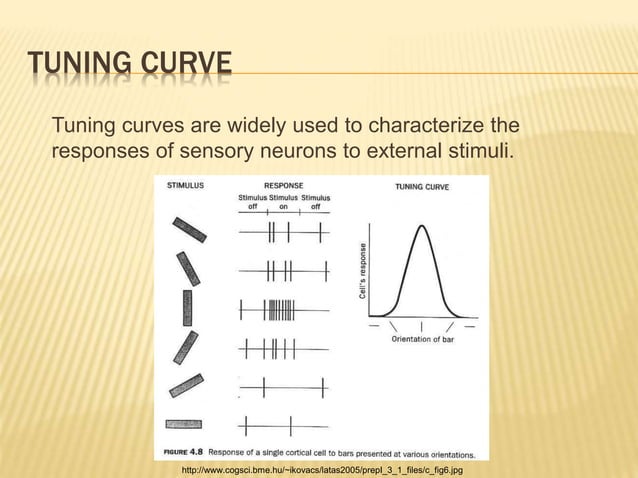 Applications of tuning curves 2 | PPTX