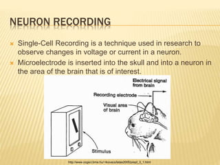 Applications of tuning curves 2 | PPTX