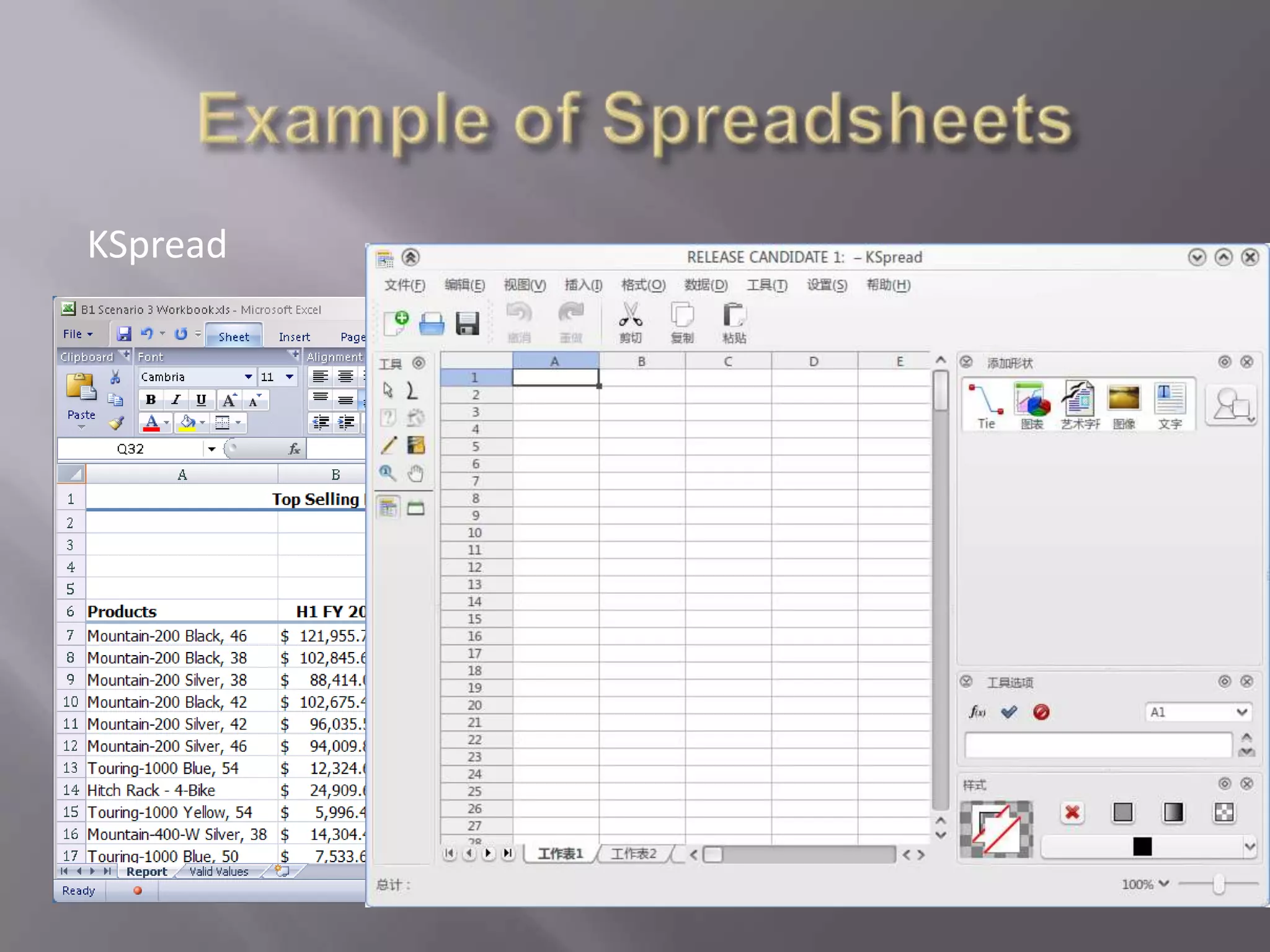 Application Software | PPTX