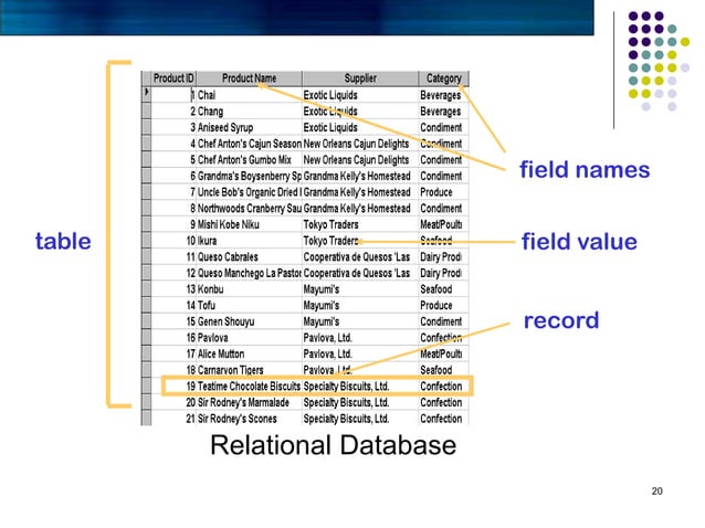 Application Software – Horizontal & Vertical Software | PPT