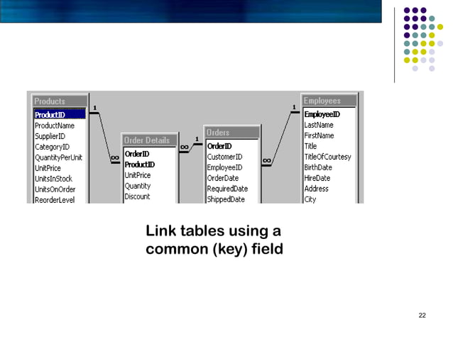 Application Software – Horizontal & Vertical Software | PPT