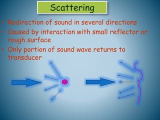 Applications of Ultrasound in Medicine | PPTX