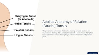 Comprehensive Applied Anatomy and Surgical Considerations of Palatine ...