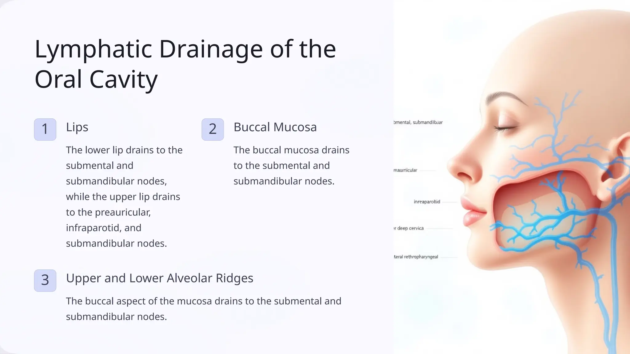 Applied-Anatomy-of-the-Oral-Cavity EAr nose.pptx