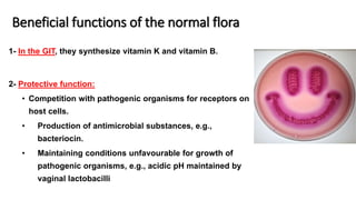 Applied 1 lecture - modified(2)/////////// | PPT