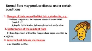 Applied 1 lecture - modified(2)/////////// | PPT