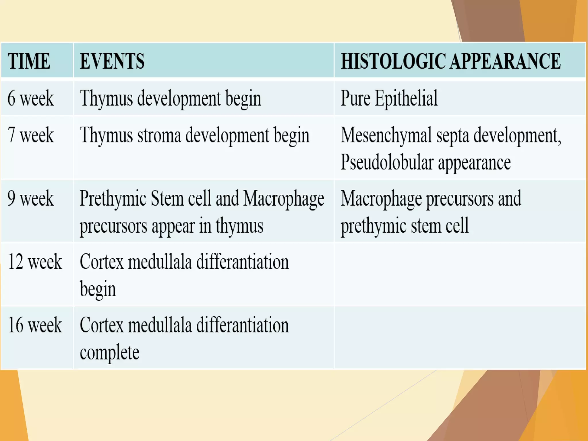 lymphoreticular system | PPTX