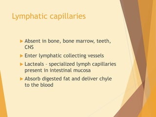 lymphoreticular system | PPTX