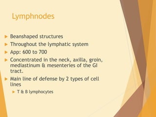 lymphoreticular system | PPTX