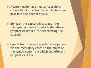 lymphoreticular system | PPTX