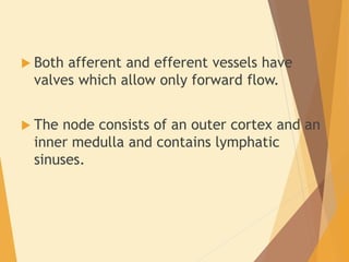 lymphoreticular system | PPTX