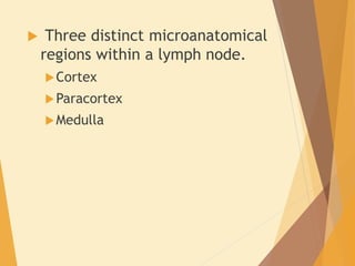 lymphoreticular system | PPTX