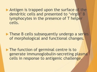 lymphoreticular system | PPTX