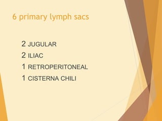 lymphoreticular system | PPTX