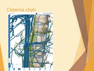 lymphoreticular system | PPTX
