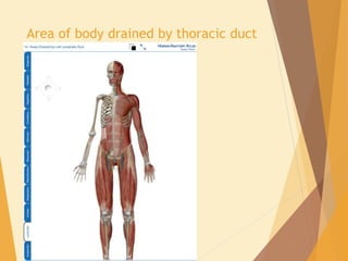 lymphoreticular system | PPTX