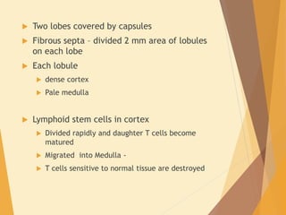 lymphoreticular system | PPTX