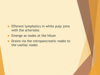 lymphoreticular system | PPTX