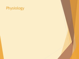 lymphoreticular system | PPTX
