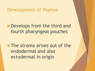 lymphoreticular system | PPTX