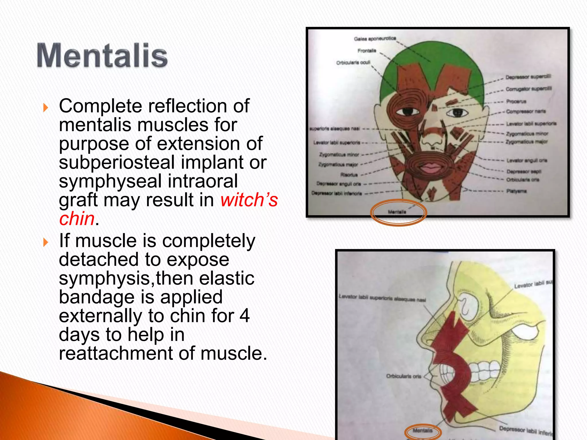 Applied anatomy | PPTX