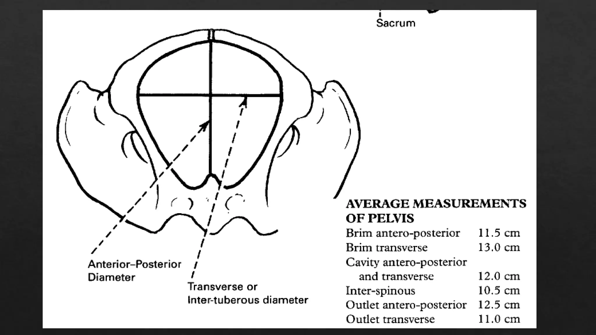 Applied anatomy of female pelvis | PDF