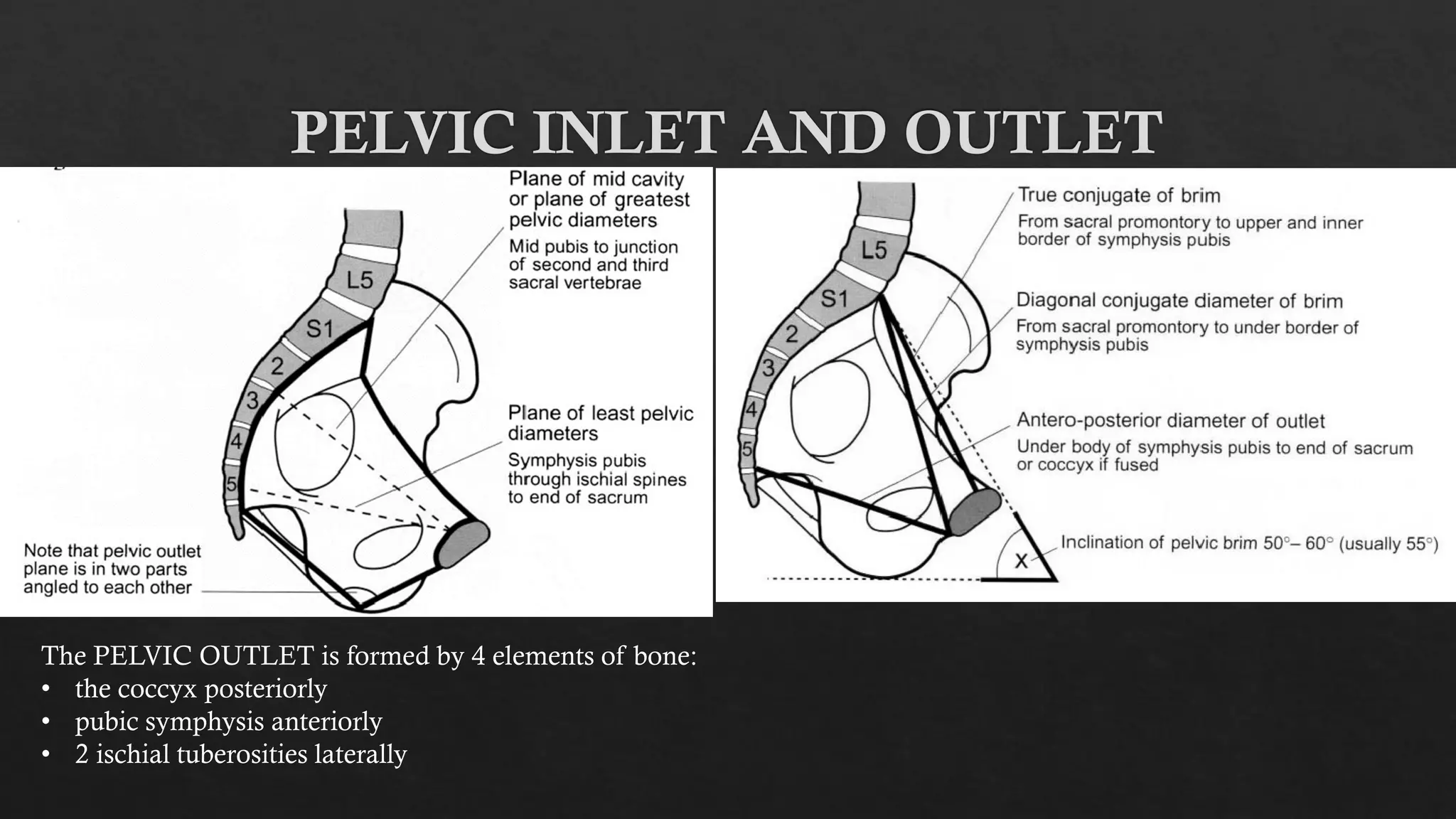 Applied anatomy of female pelvis | PDF
