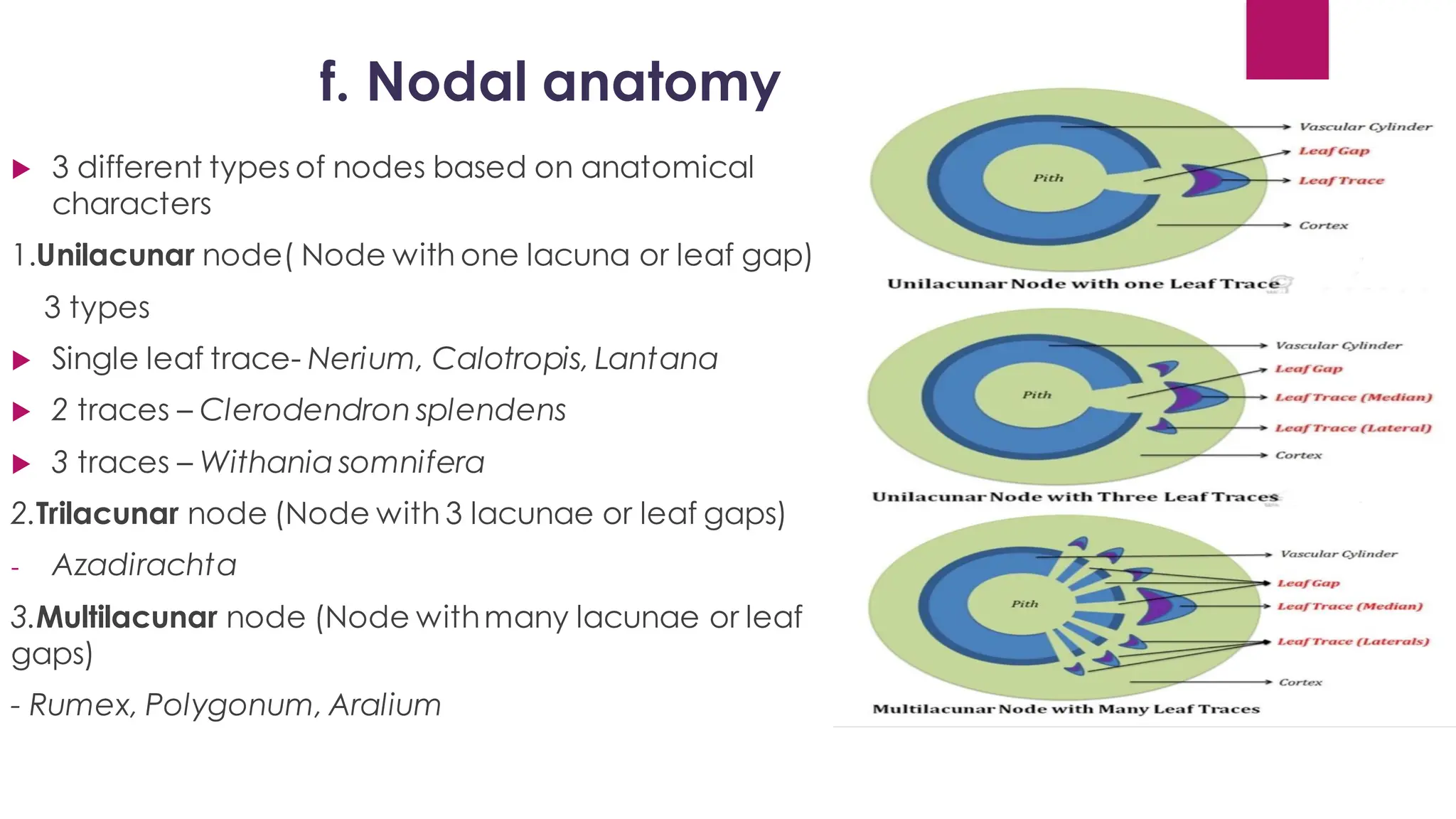 Applied anatomy: research prospects..... | PDF