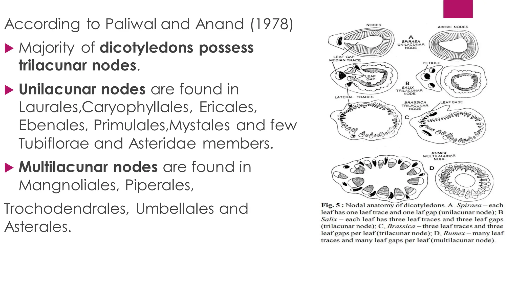 Applied anatomy: research prospects..... | PDF
