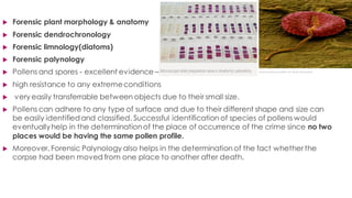 Applied anatomy: research prospects..... | PDF