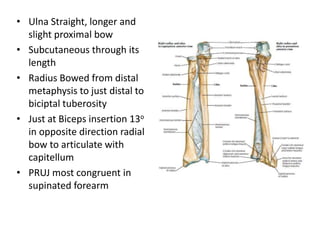 Applied anatomy Of Upper Limb | PPTX